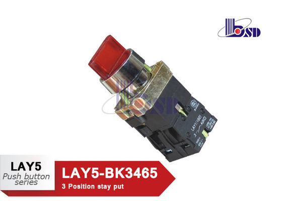 Metal Selector Switch 2 Position Momentary Key Switch LAY5（XB2）EG21